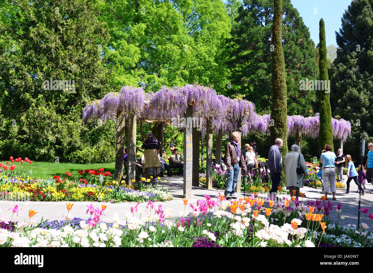 Germany,Baden-Wurttemberg,Lake of Constance,island Mainau,park,spring ...