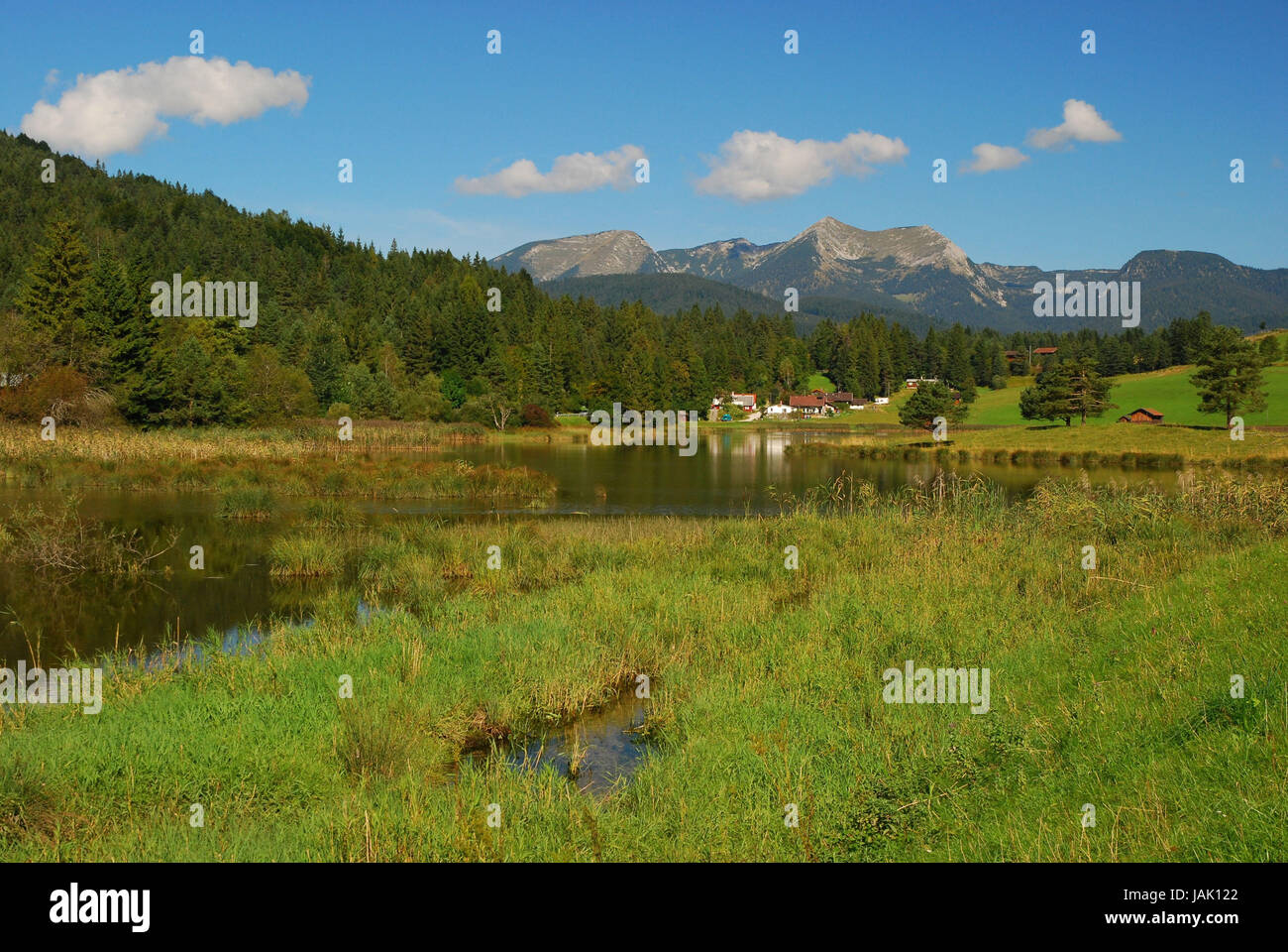 Germany,Bavaria,Mittenwald,Isar valley,narrow lake,reed shore ...