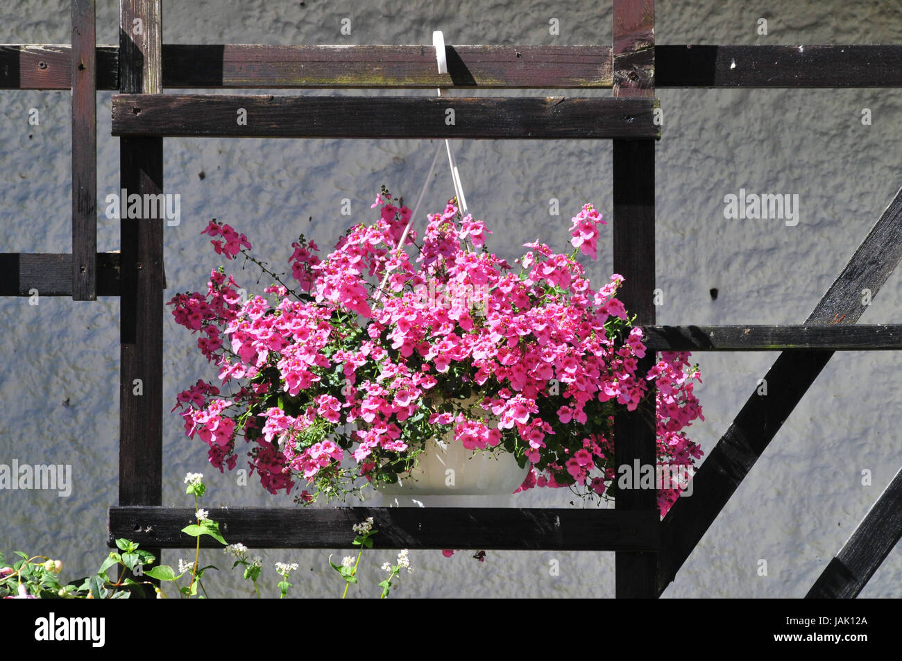 Flower traffic light,eleven flower Stock Photo - Alamy