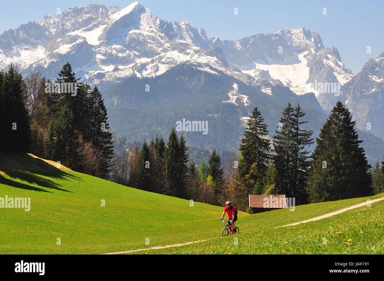 Germany,Upper Bavaria,mountain pasture,mountain biker,spring,Zugspitze ...