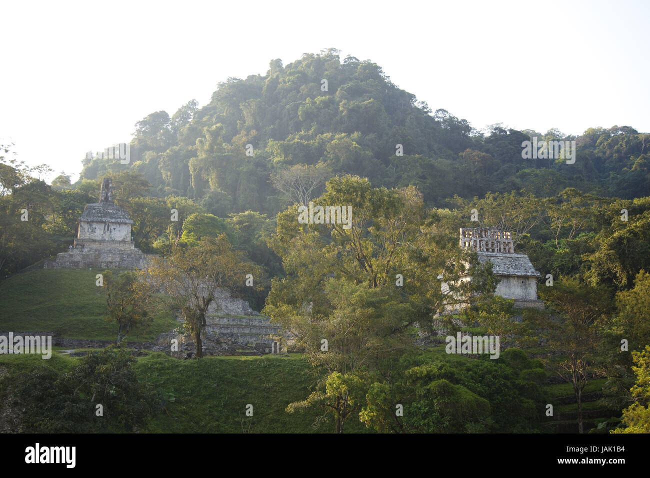 Mexico,Chiapas,Palenque,ruins,Maya,temple of the sun,temples of the ...