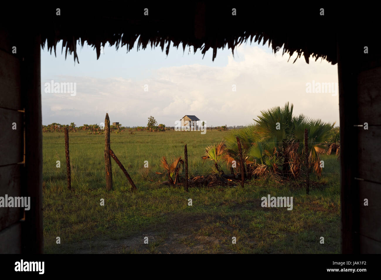 Tropical rainforest moskitia hi-res stock photography and images - Alamy