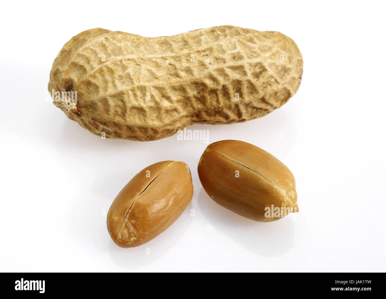 Peanut,Arachis hypogaea,white background Stock Photo - Alamy
