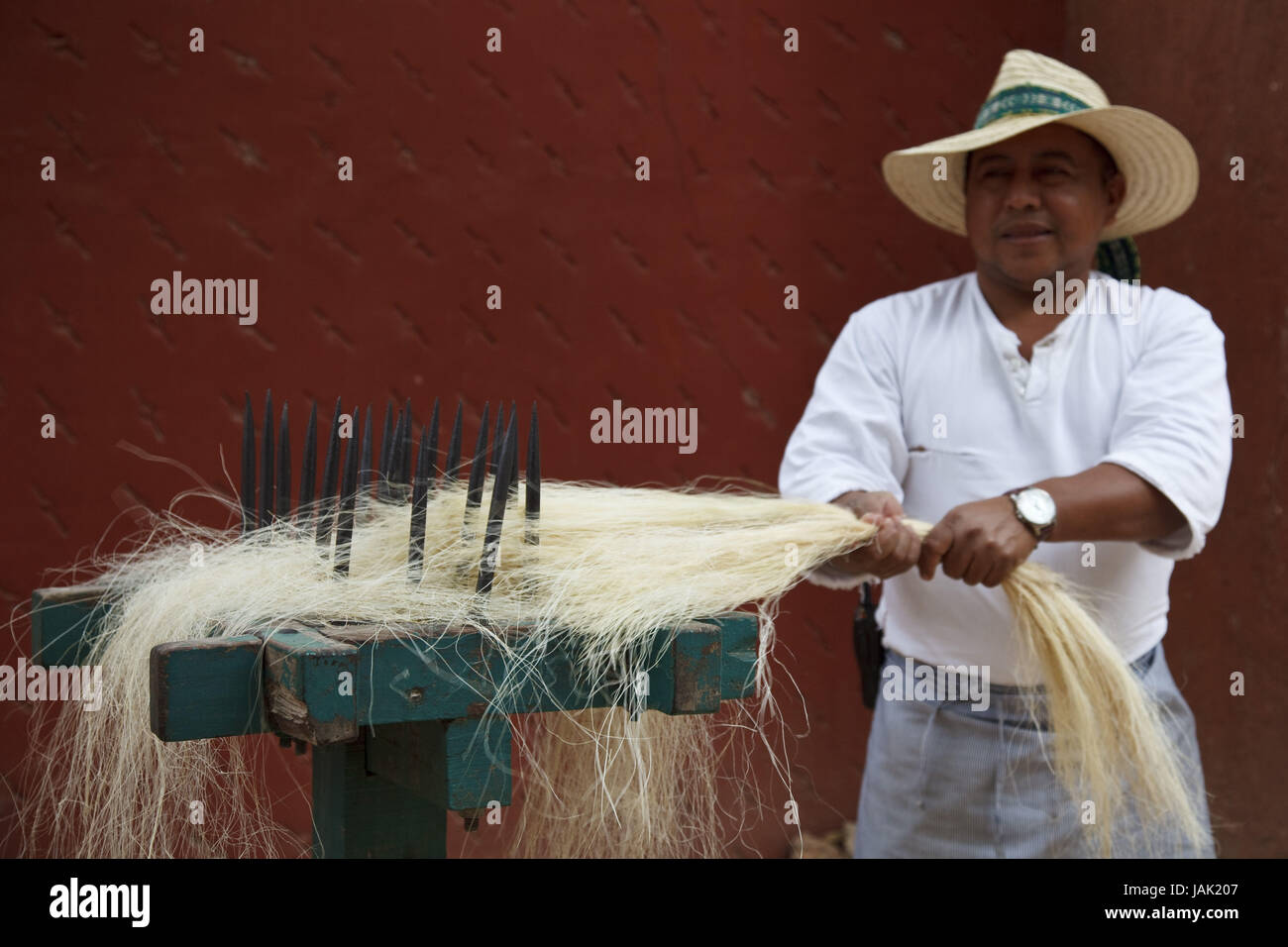 Mexico,Yucatan,Sotuta de Peon,Hacienda,man,Maya,sisal fibers,processing ...