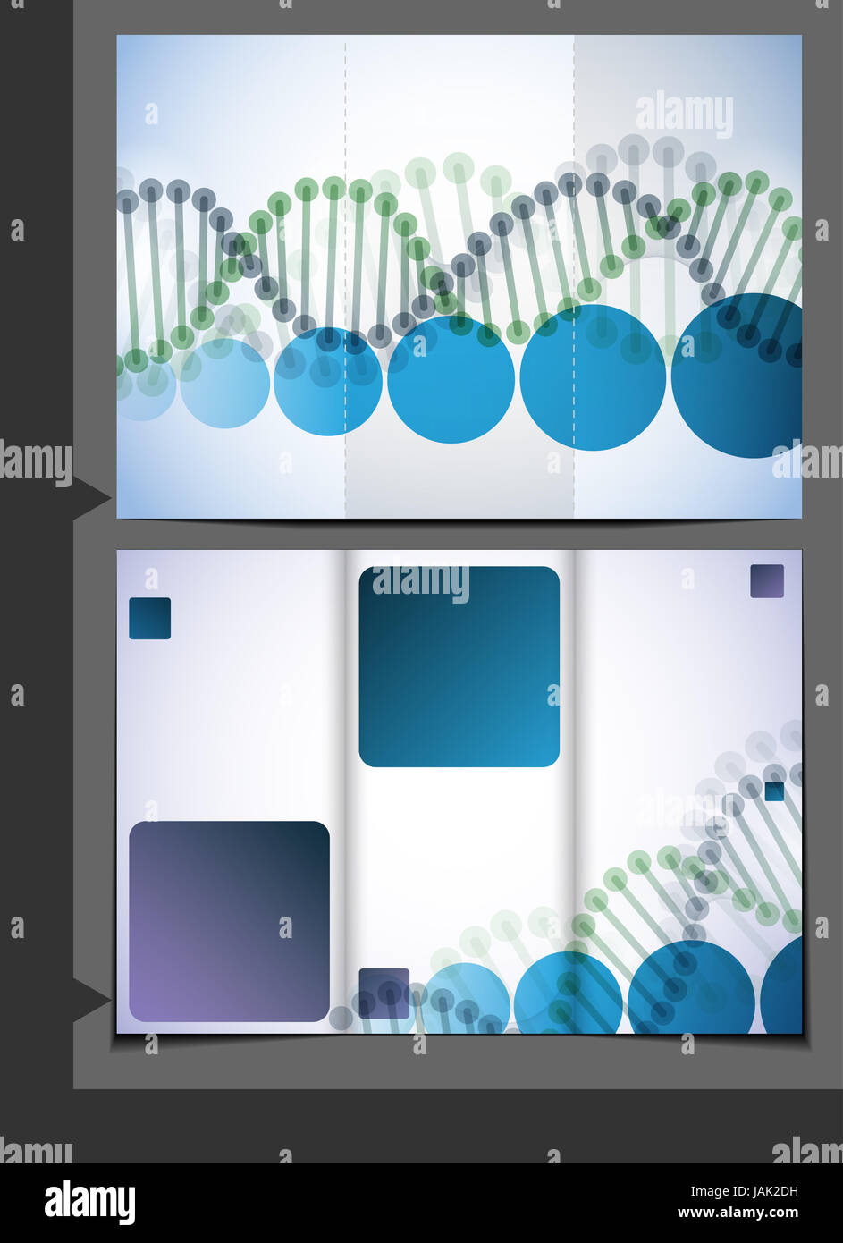 DNA Brochure Design. Vector Illustration. Eps 10 Stock Photo - Alamy