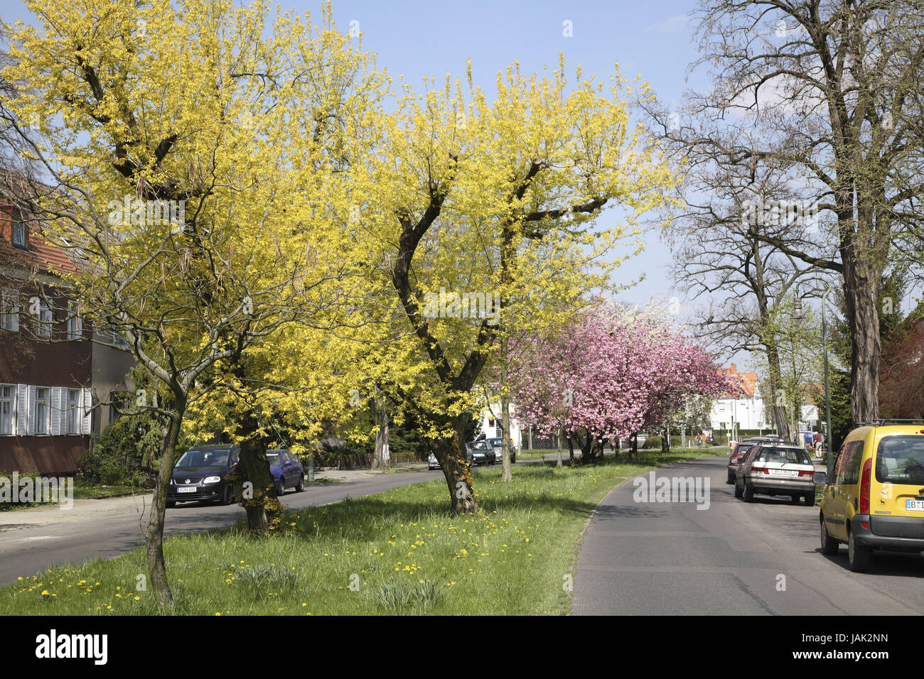 Germany berlin residential house hi-res stock photography and images ...