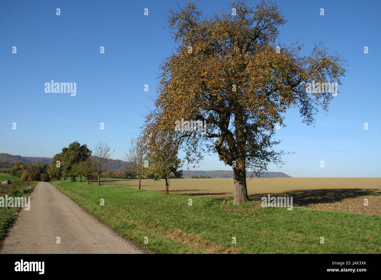 idyllic rural autumn scenery in Southern Germany Stock Photo - Alamy