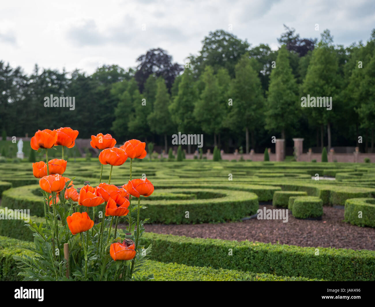 Het loo flowers hi-res stock photography and images - Alamy