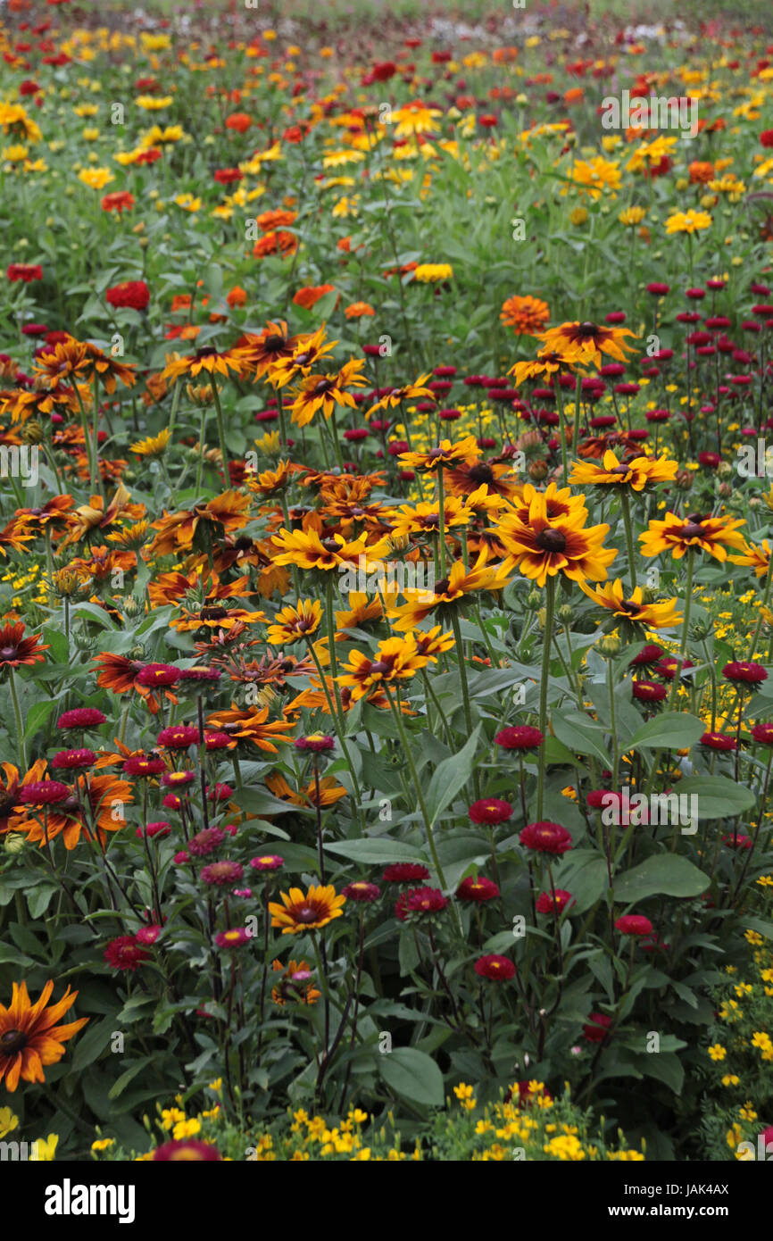 Vielfaltig hi-res stock photography and images - Alamy