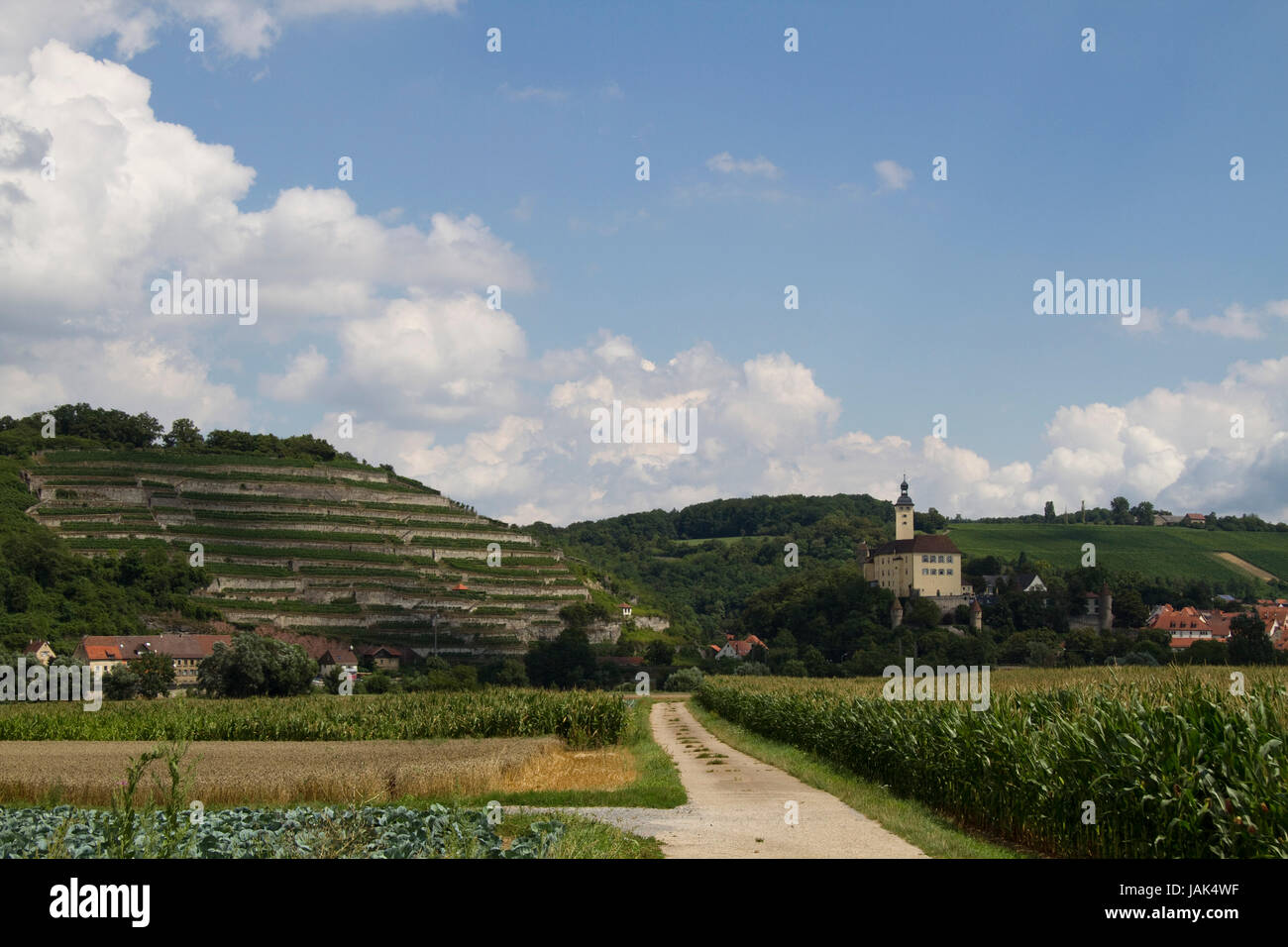 grain field straw Stock Photo - Alamy