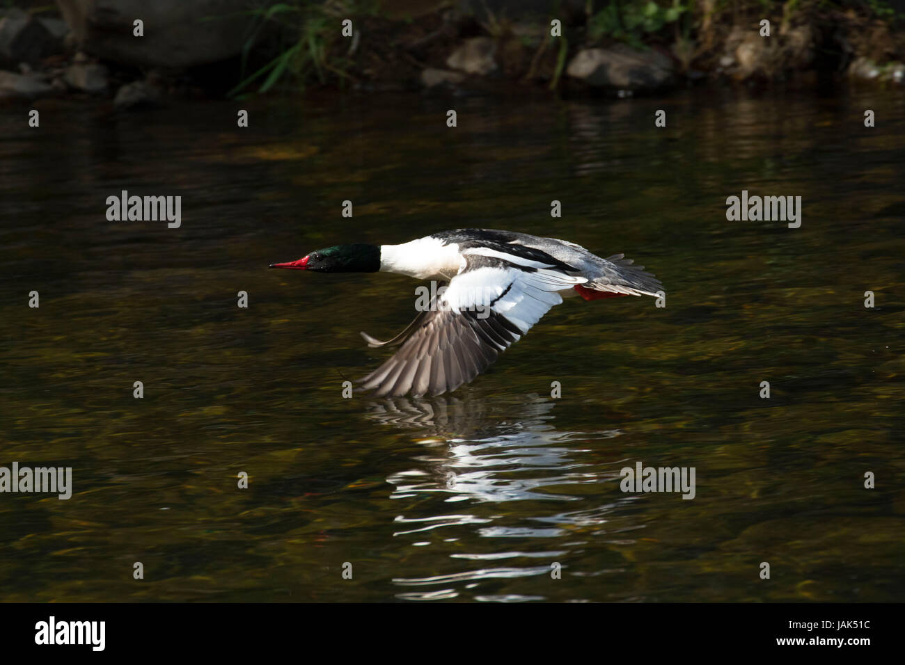 Nehalem oregon hi-res stock photography and images - Alamy