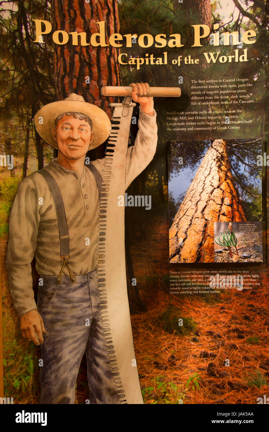 Timber display, Bowman Museum, Prineville, Oregon Stock Photo - Alamy