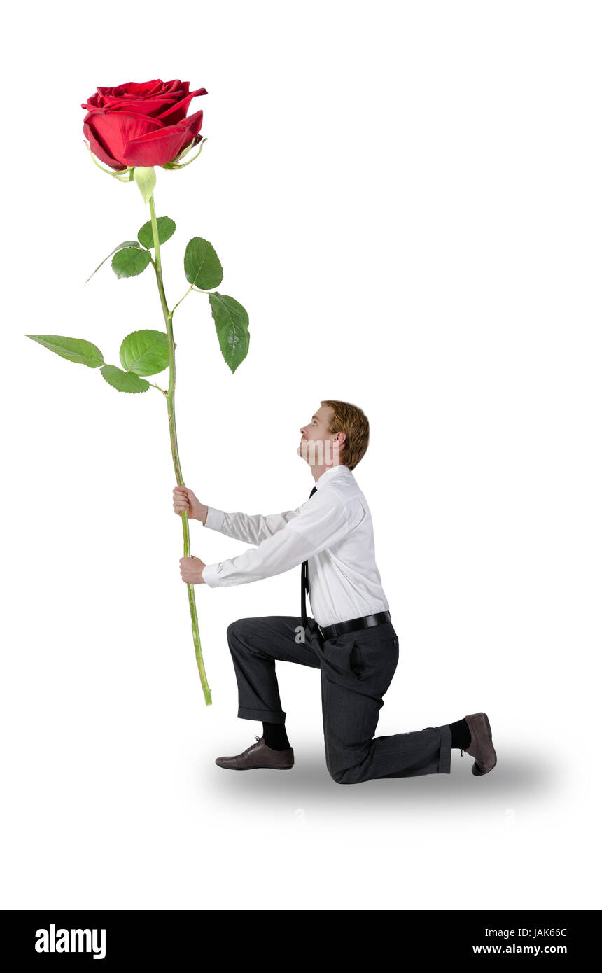 man kneeling holding a rose Stock Photo - Alamy