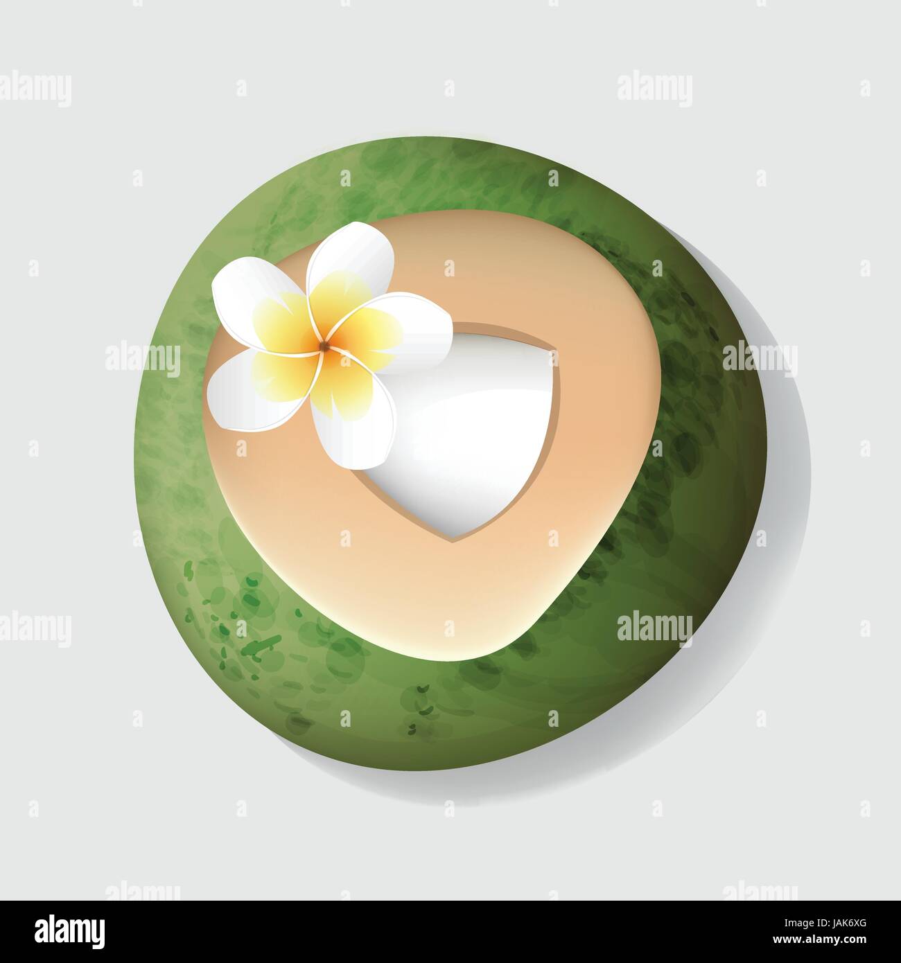 Fresh Cut Open Coconut with Flower Vector Illustration Stock Vector ...