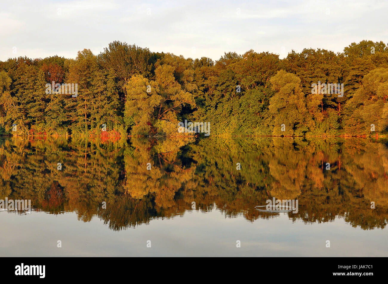 inland water water Stock Photo - Alamy