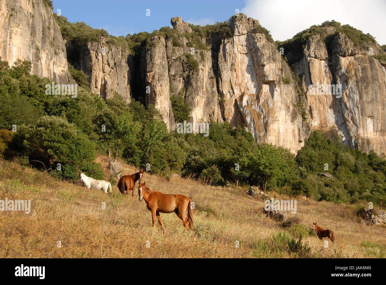 spare time free time Stock Photo - Alamy