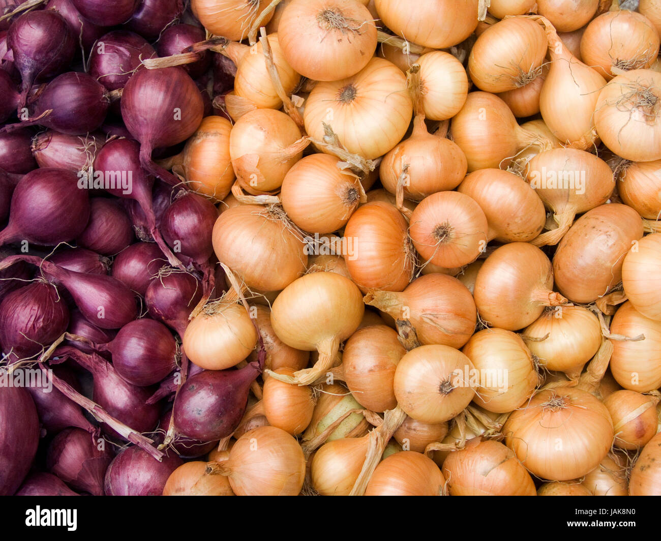 Agricultural background, a pile of beautiful bulb onions Stock Photo ...