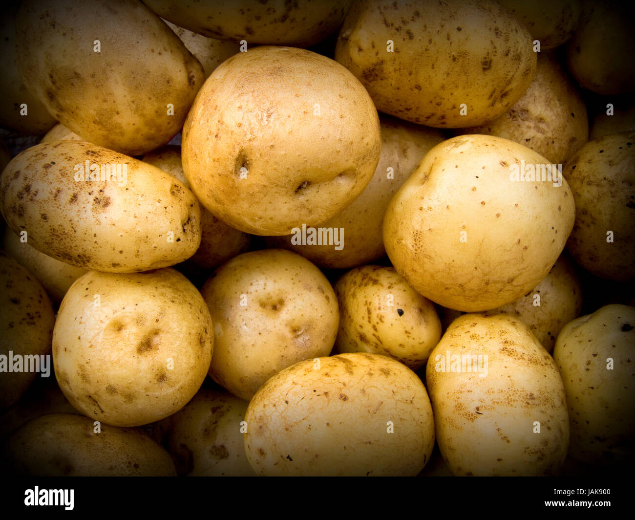 The large farm potatoes in the heap Stock Photo - Alamy