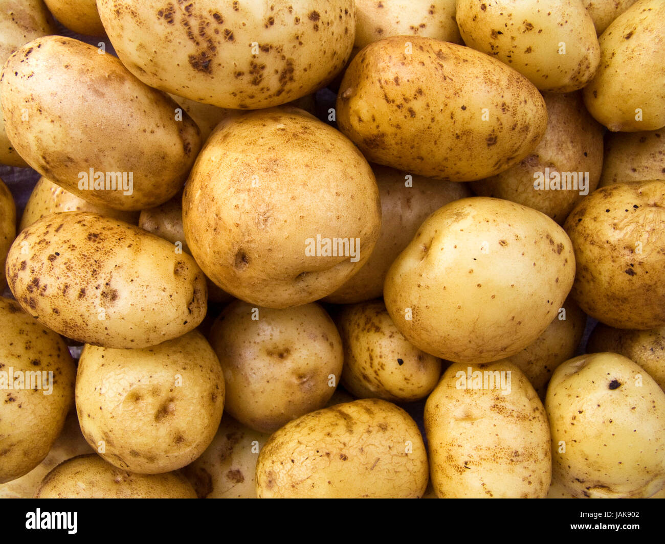 The large farm potatoes in the heap Stock Photo - Alamy