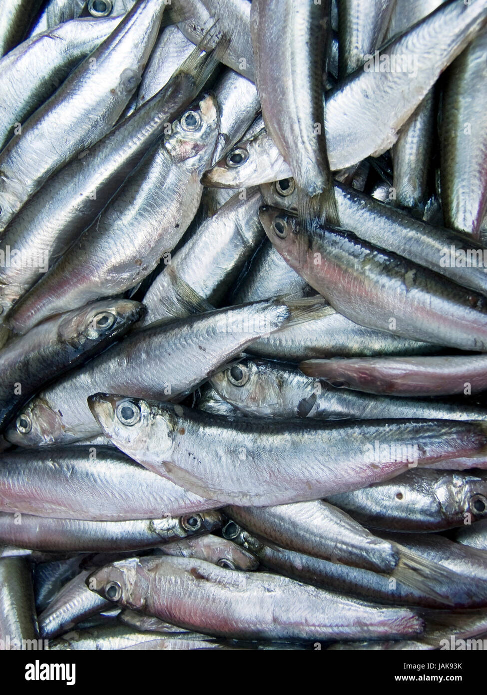 The beautiful small fishes on a counter Stock Photo - Alamy