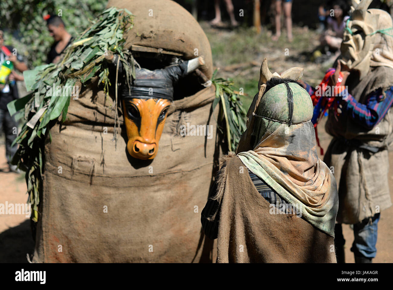 s Diablitos, an indigenous ceremony in Costa Rica's 'Dance of the ...
