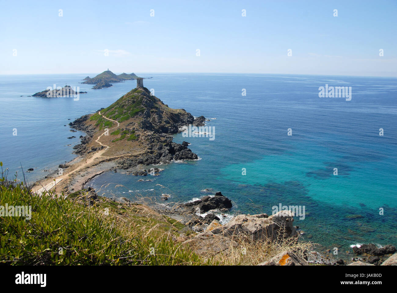 sanguinary in corsica Stock Photo - Alamy