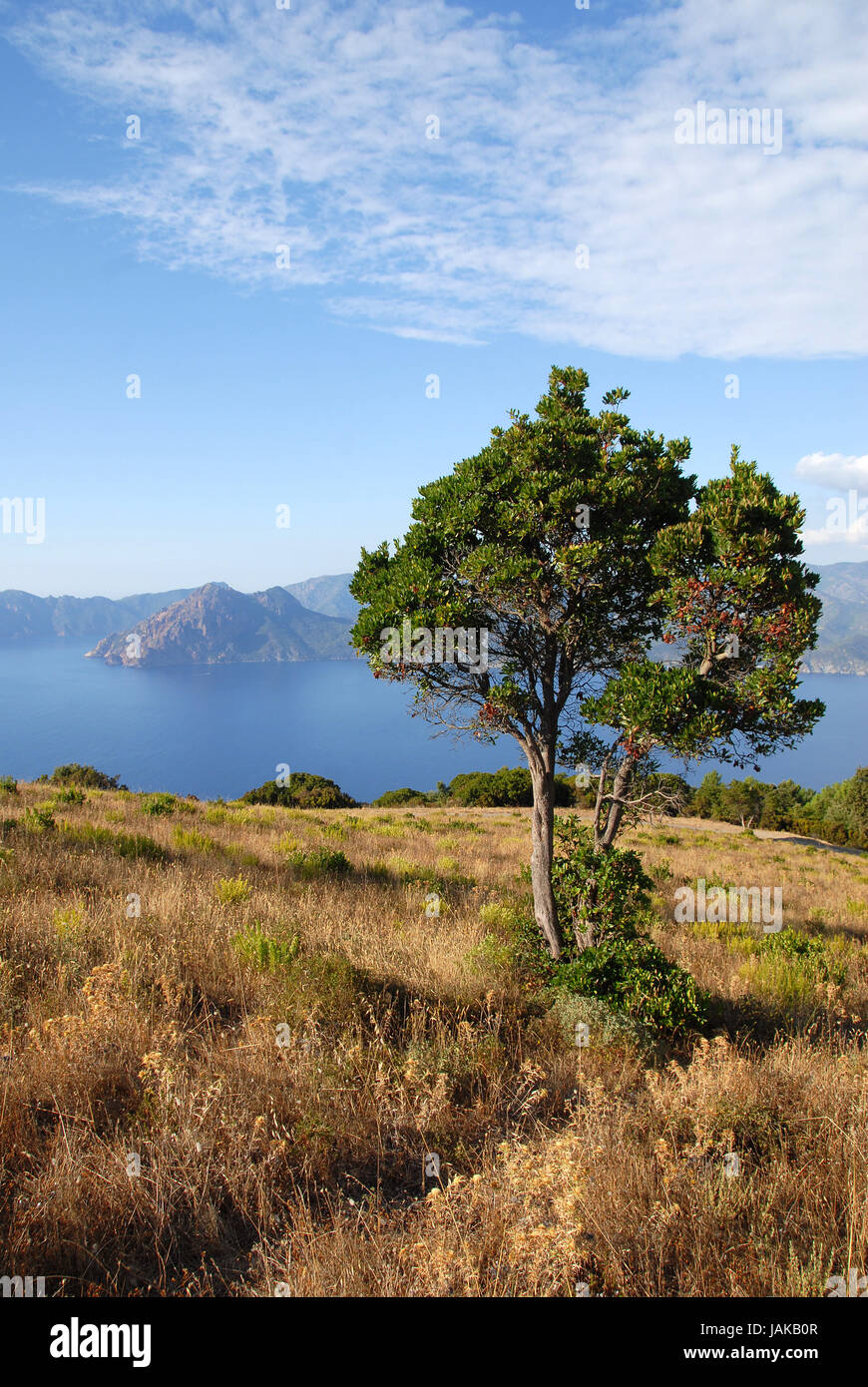 calanche in piana Stock Photo - Alamy