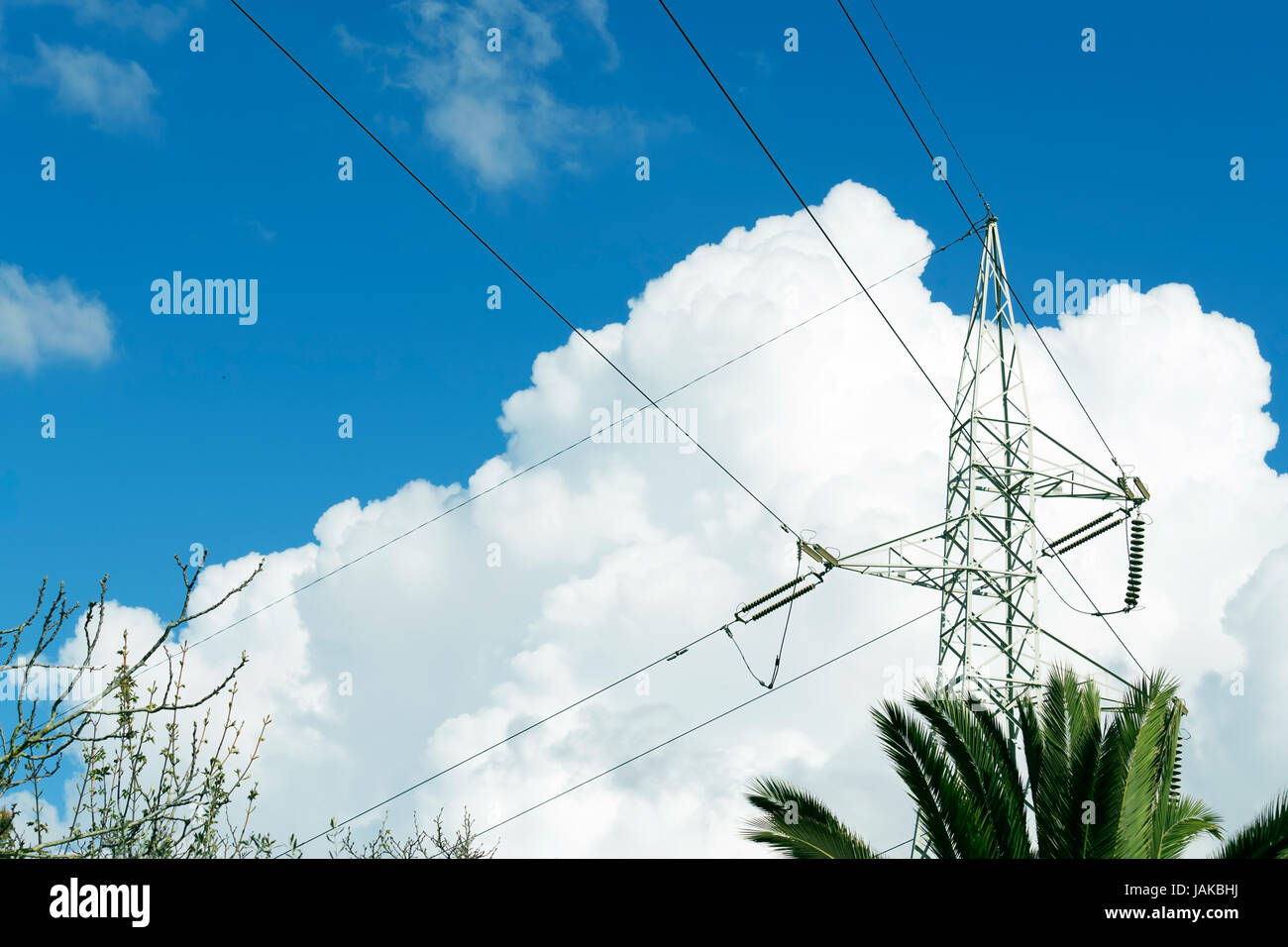 electric pylon surrounded by vegetation Stock Photo - Alamy