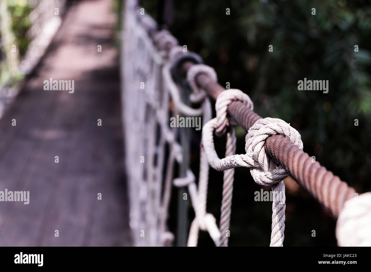 Wire Rope Suspension Bridge High Resolution Stock Photography and ...