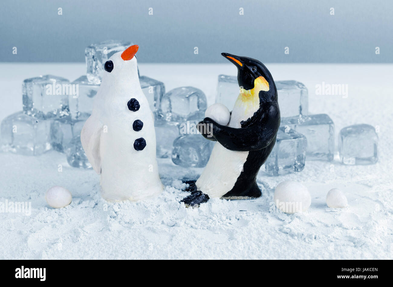 Penguin lifting a snowball to make a snow penguin Stock Photo - Alamy
