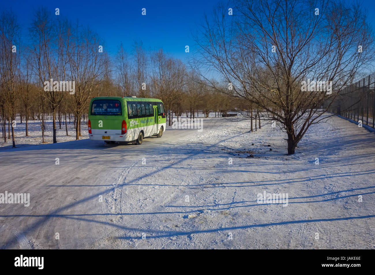 Harbin, China - February 9, 2017: Tour bus in the Siberian Tiger Park ...