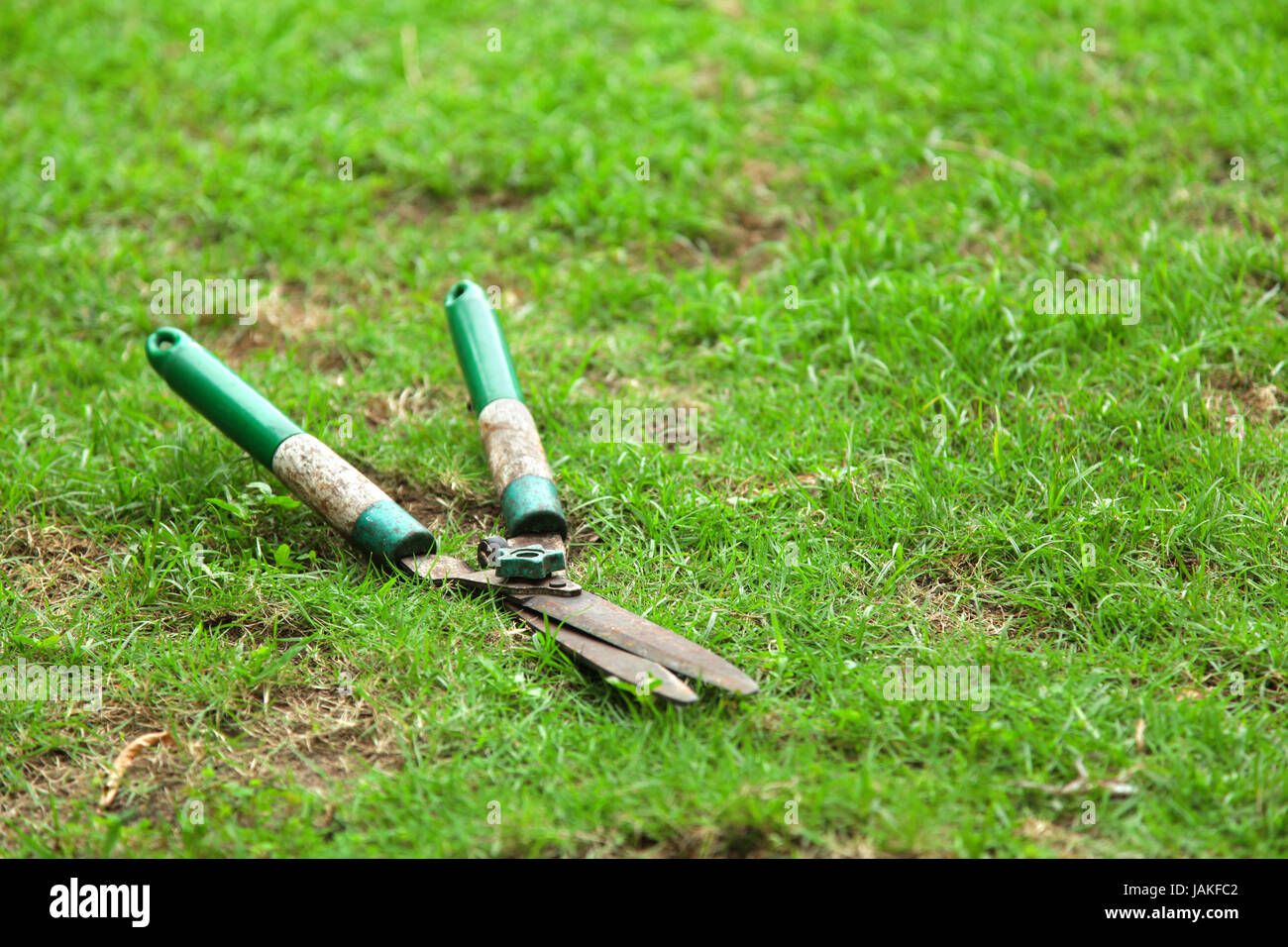 Scissors cut the grass Stock Photo - Alamy