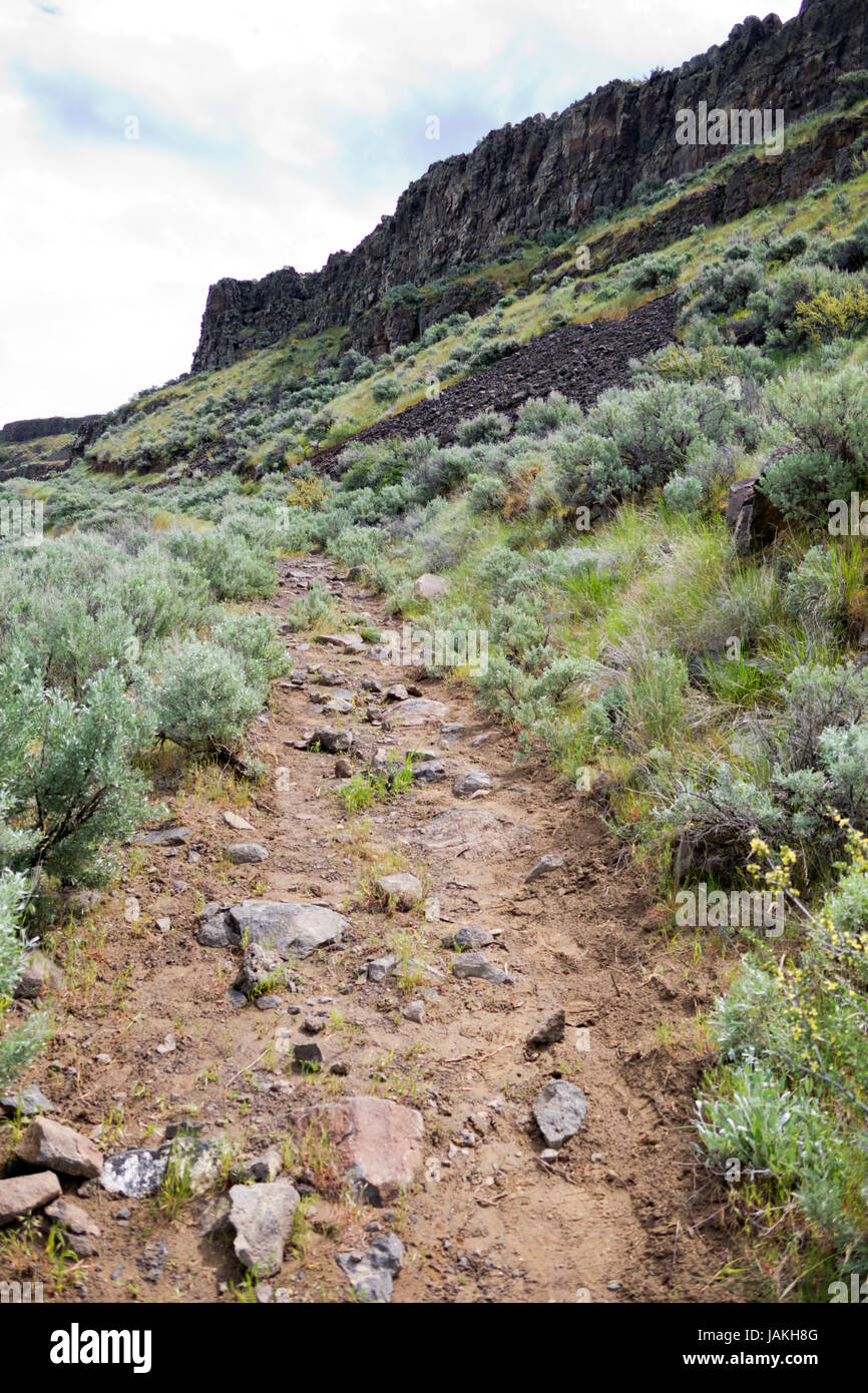 Columbia River Gorge in central Washington State, USA Stock Photo - Alamy