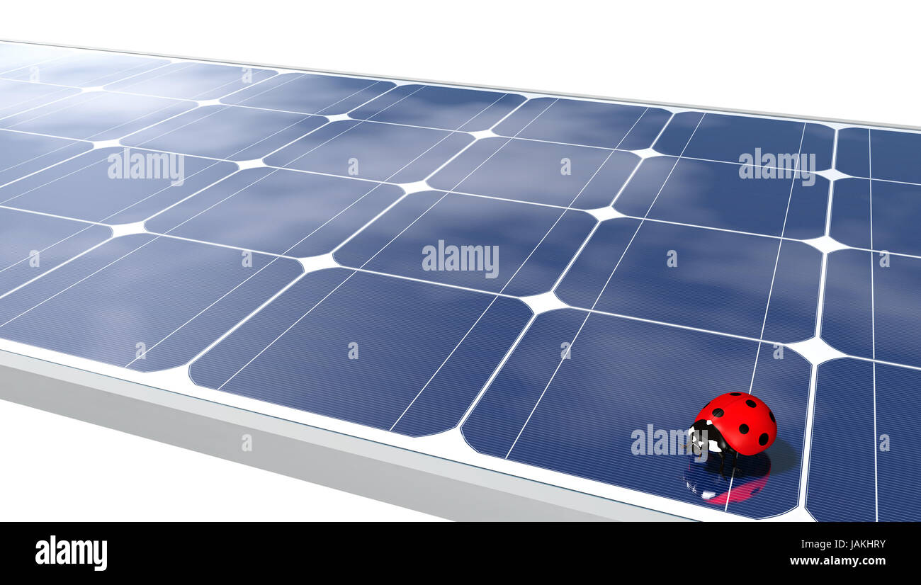 Solar beetle hi-res stock photography and images - Alamy