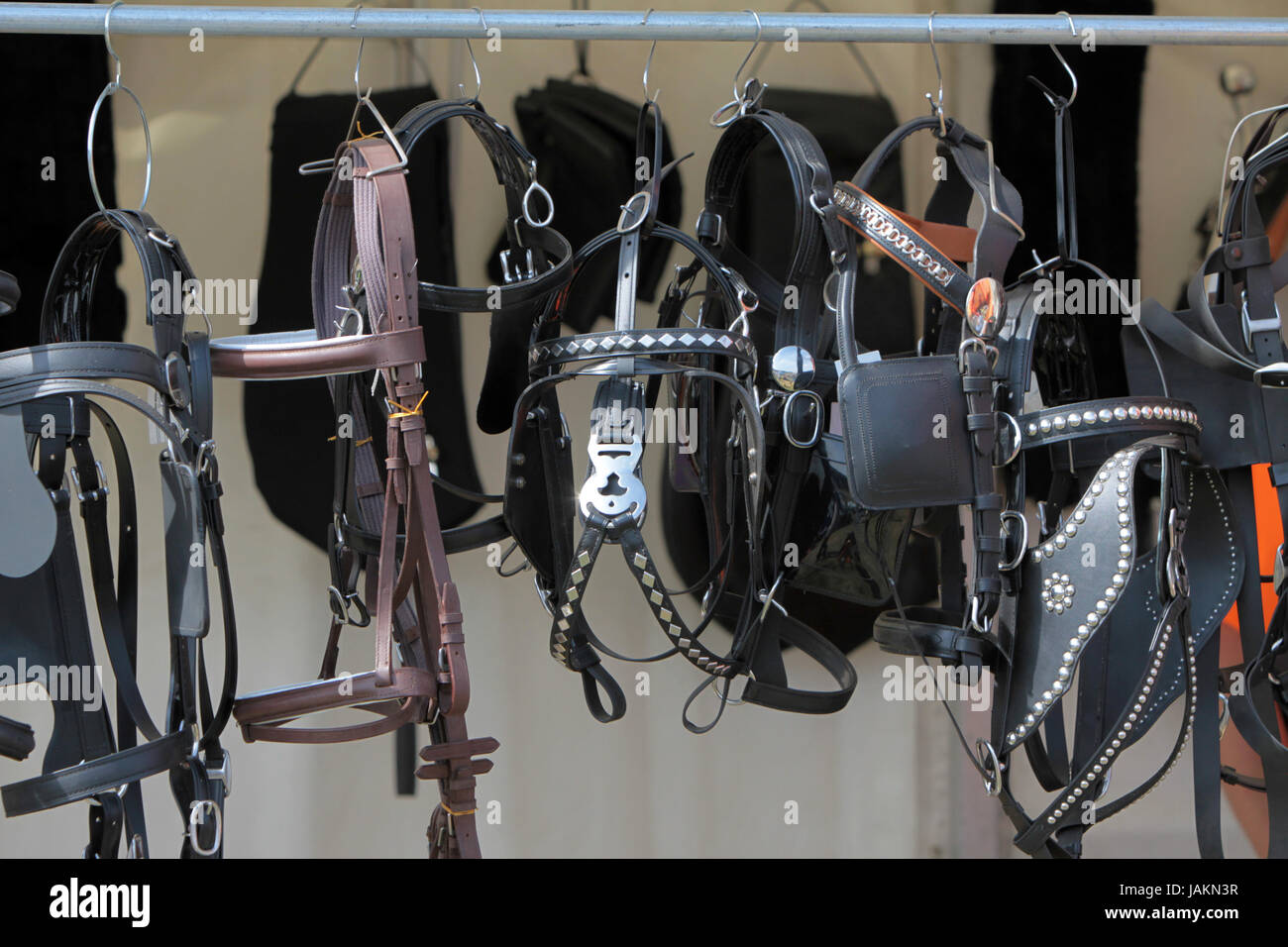 Reitzaumzeug hi-res stock photography and images - Alamy