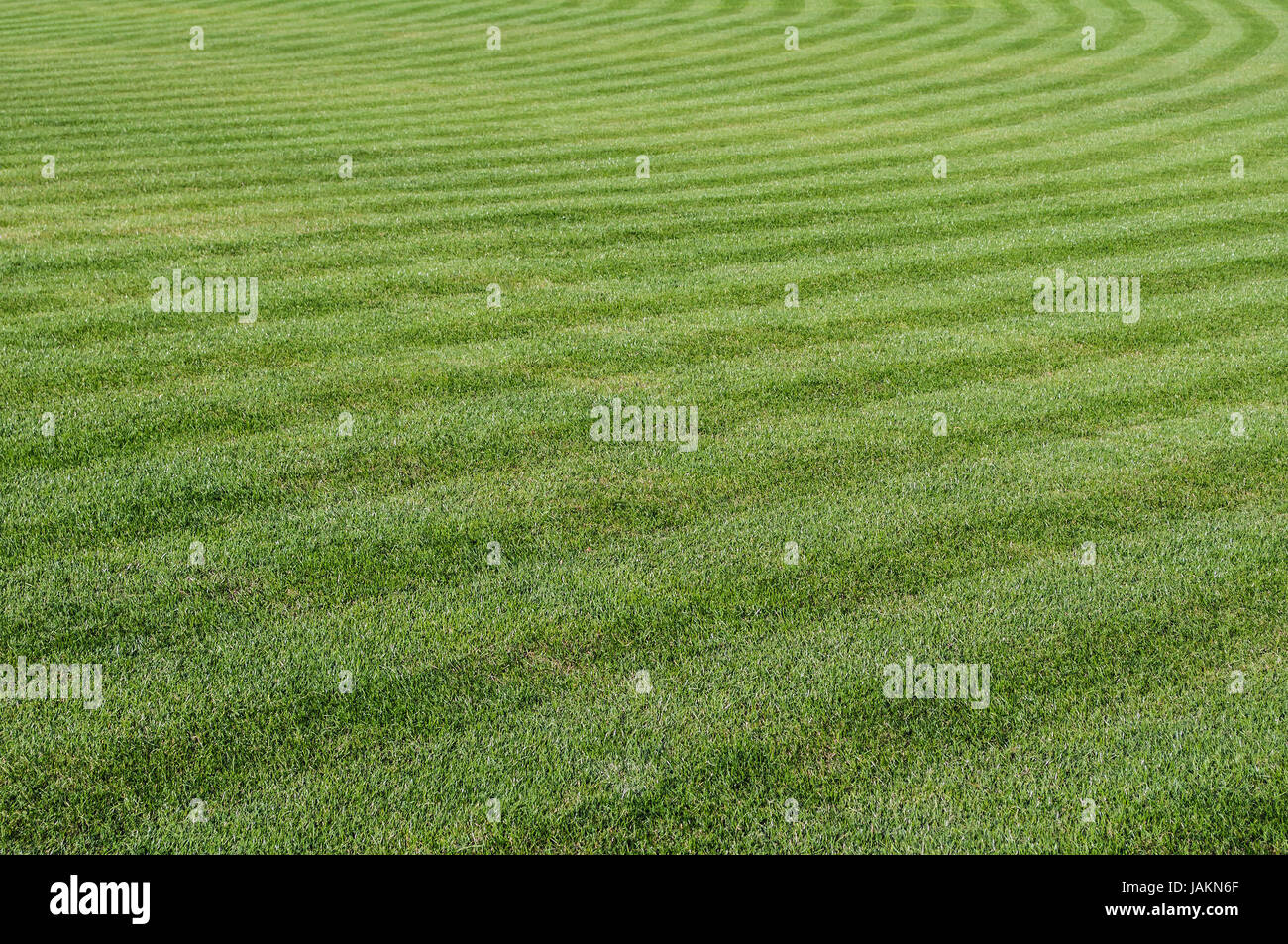 Green grass with a stripped pattern cut Stock Photo - Alamy