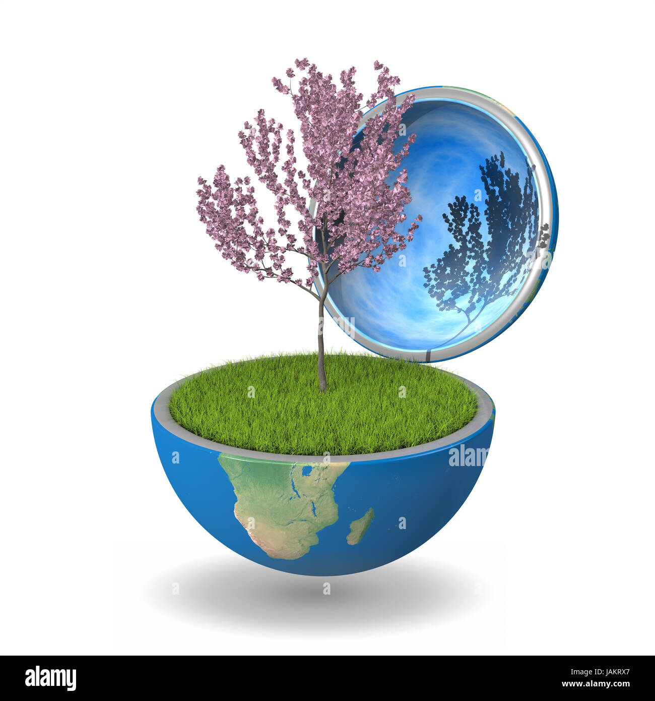 Flowering tree growing inside opened planet Earth, isolated on white ...