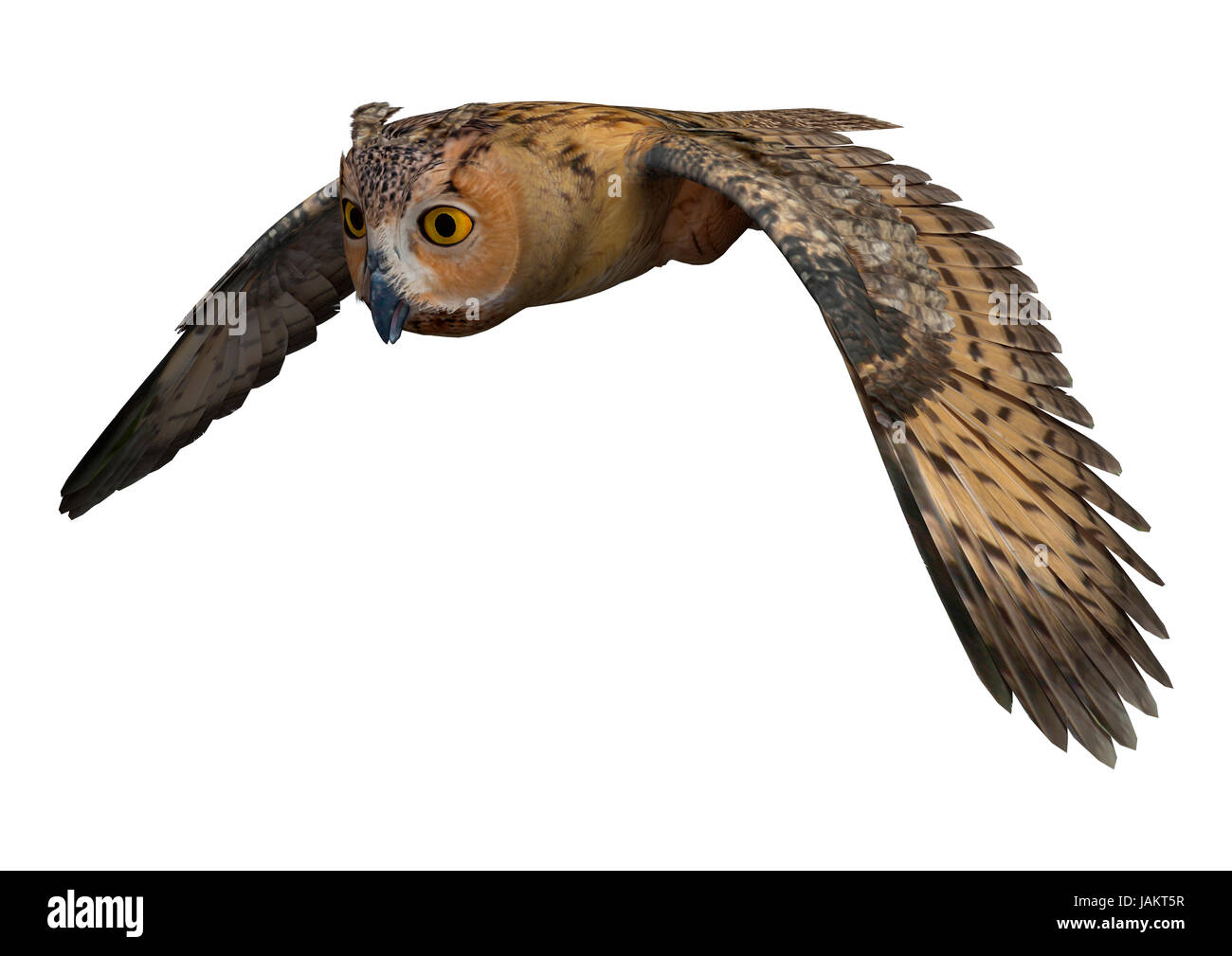 3D digital render of a flying night owl isolated on white background ...