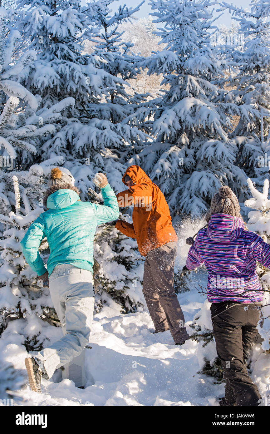 Snowball fight winter friends having fun playing in snow outdoors Stock ...