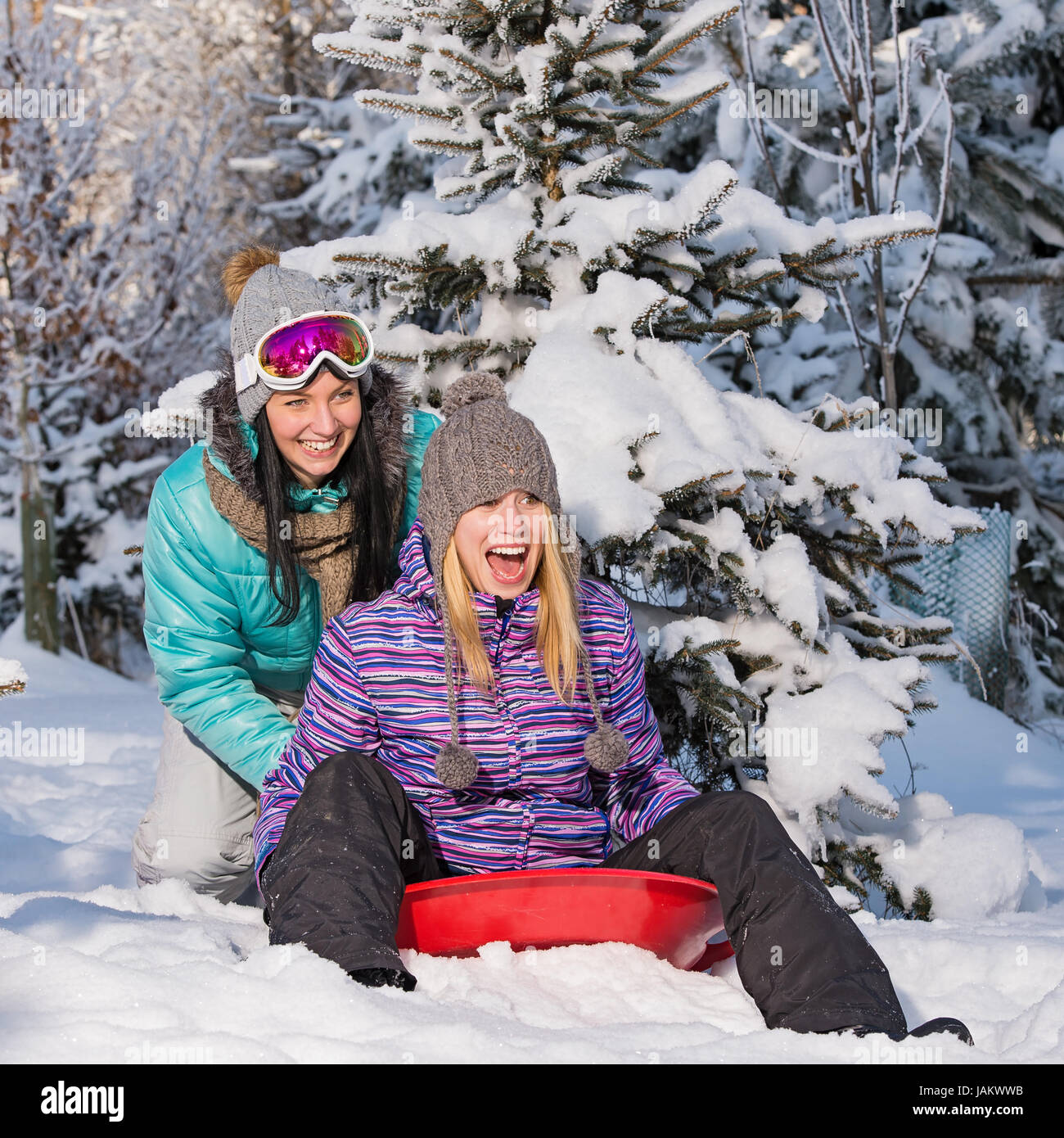 Two female friends on bobsleigh winter snow laughing having fun Stock ...