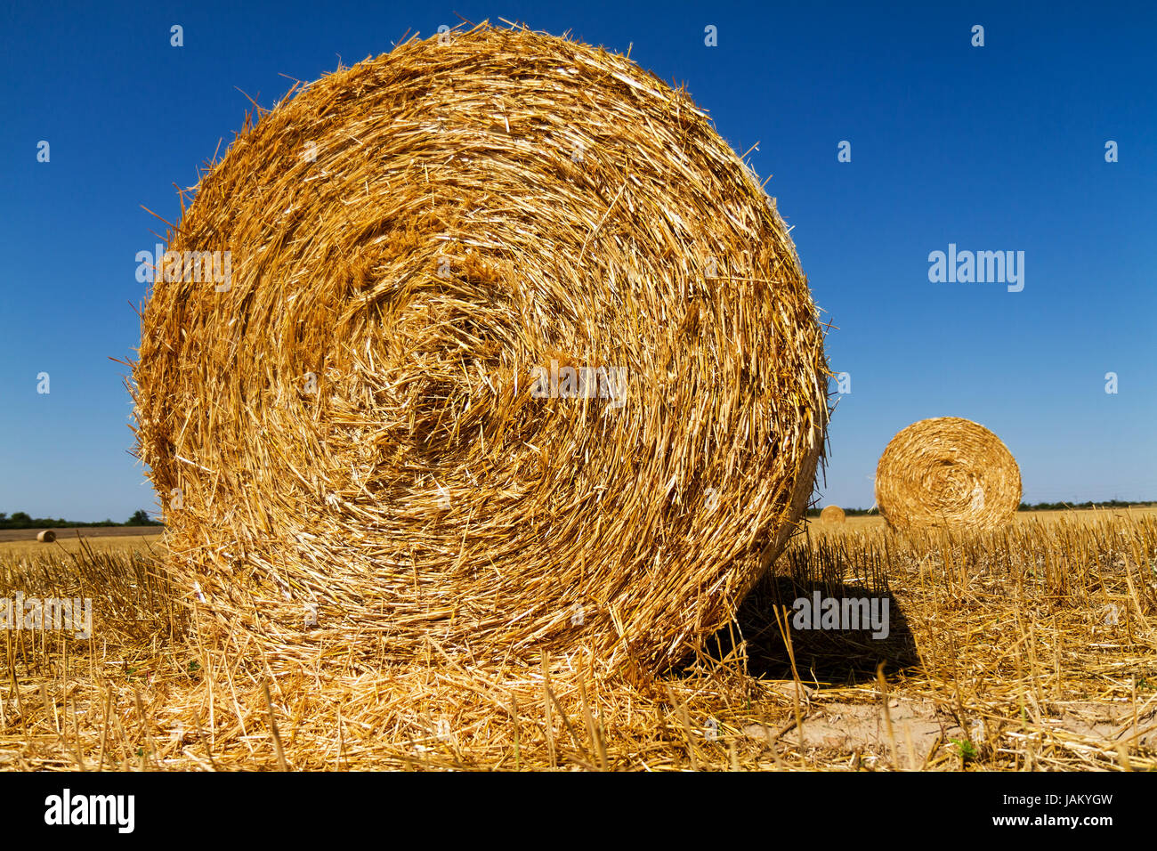 Straw bales in the light of sunset Stock Photo - Alamy