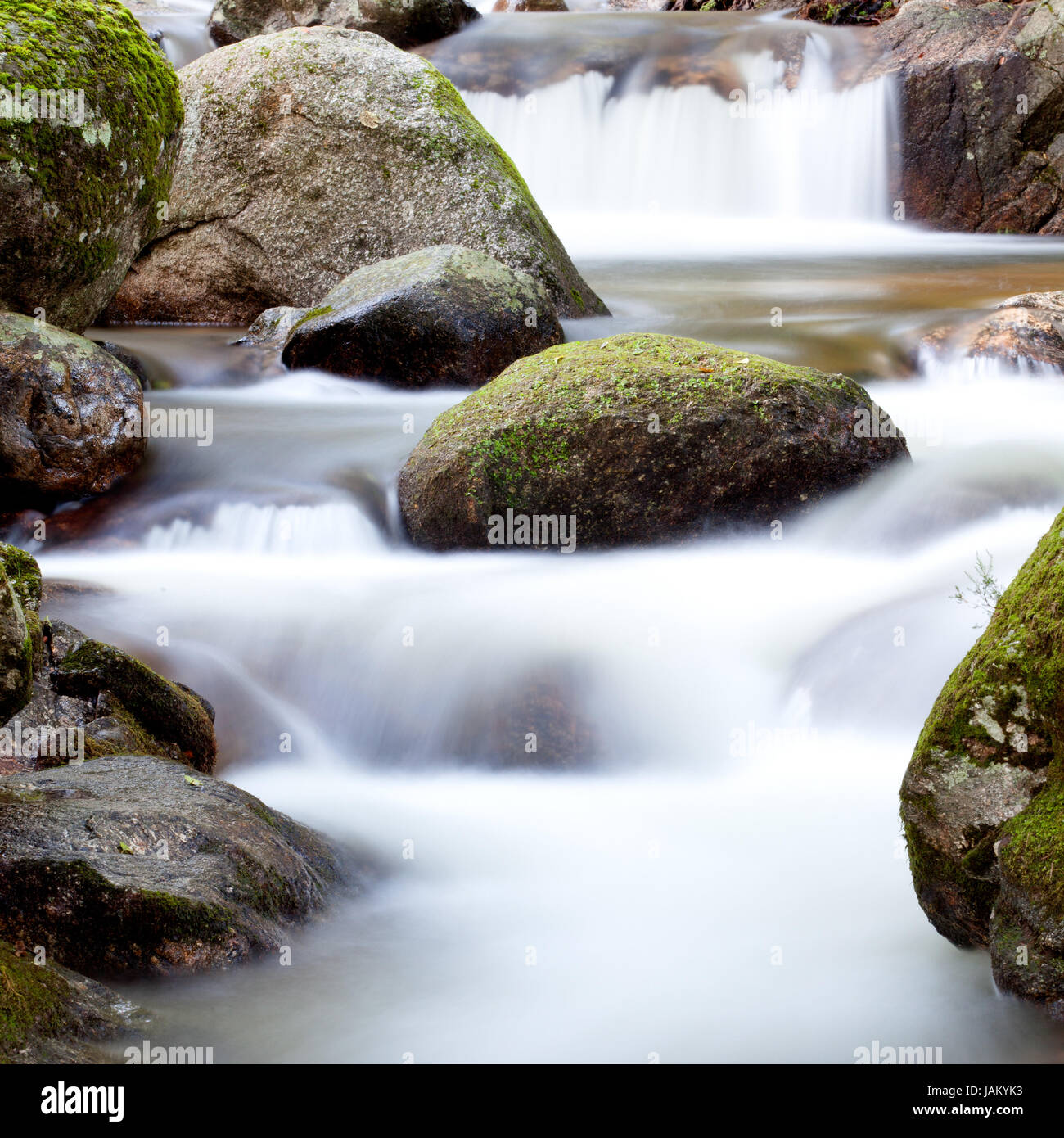 Nice creek with clear water flowing between the rocks Stock Photo - Alamy