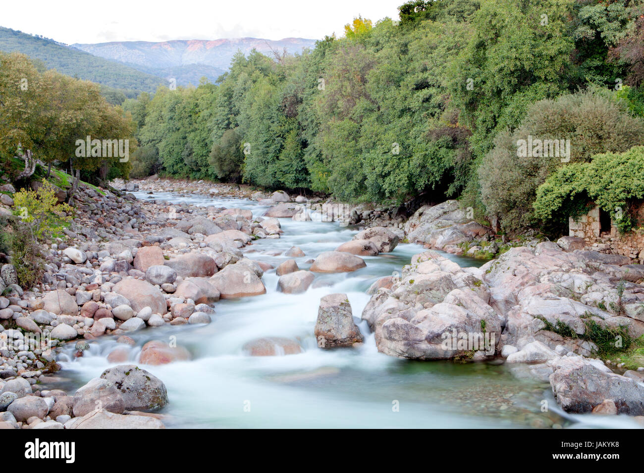 Nice river with clear water flowing between the rocks Stock Photo - Alamy