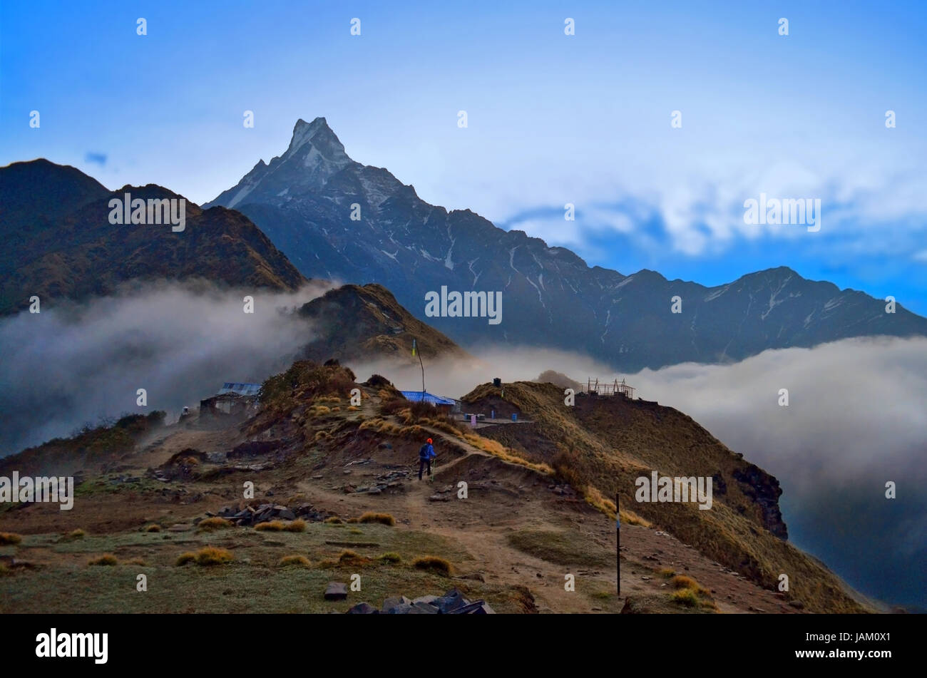 Evening in the Himalaya mountains. Machapuchare peak, Fish tail Stock ...