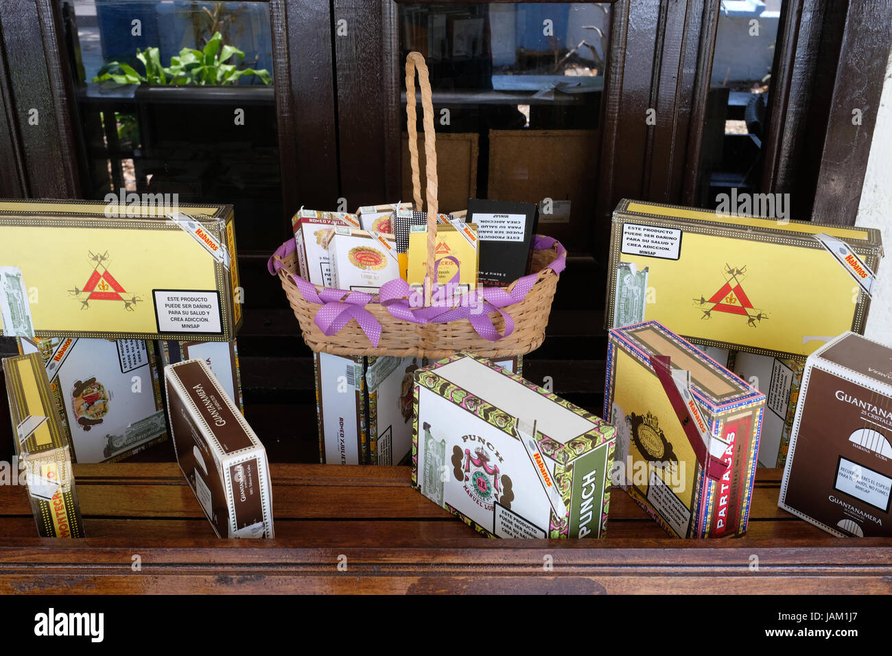 Cuban authentic cigars and mini cigars displayed for sale at the Casa ...