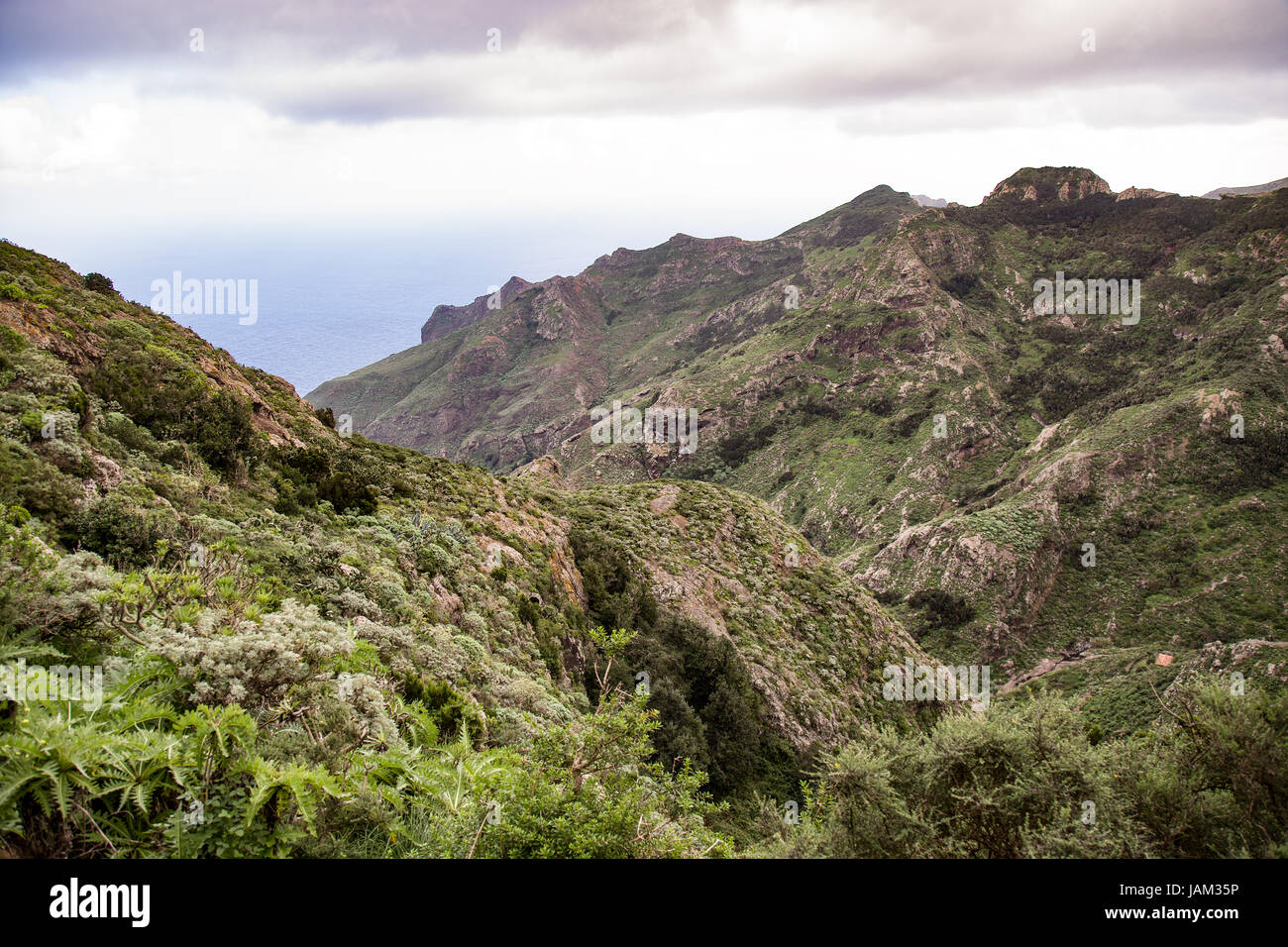 The Anaga Mountains Nature Park, Canary Islands, Rocks, plants, sea and ...