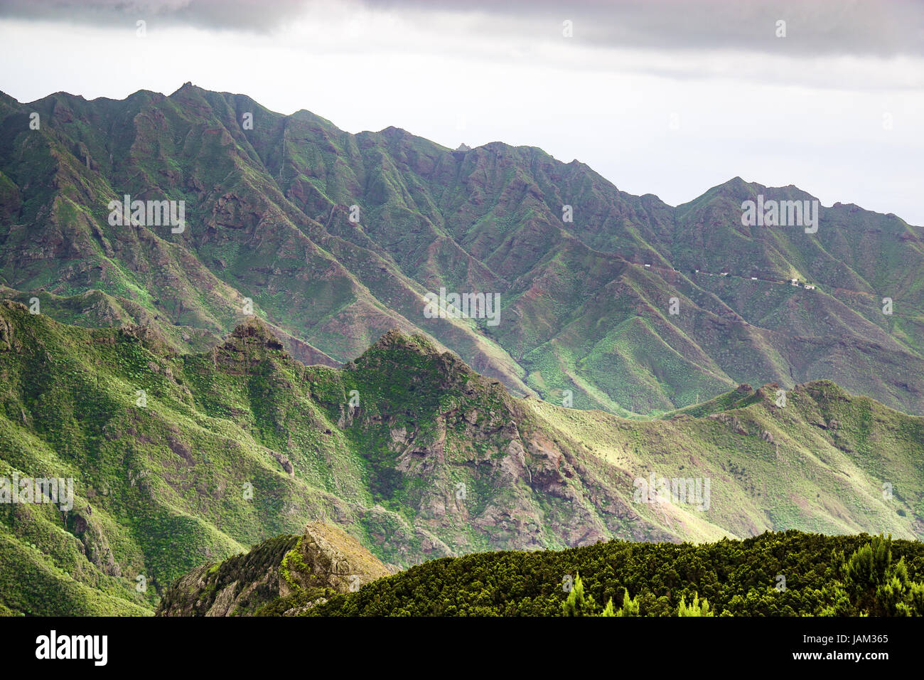 The Anaga Mountains Nature Park, Canary Islands, Rocks, plants, sea and ...