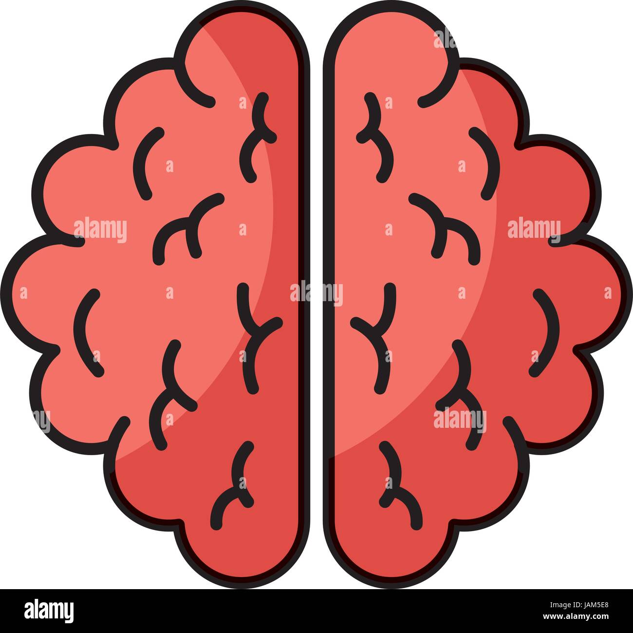 brain organ human icon Stock Vector Image & Art - Alamy