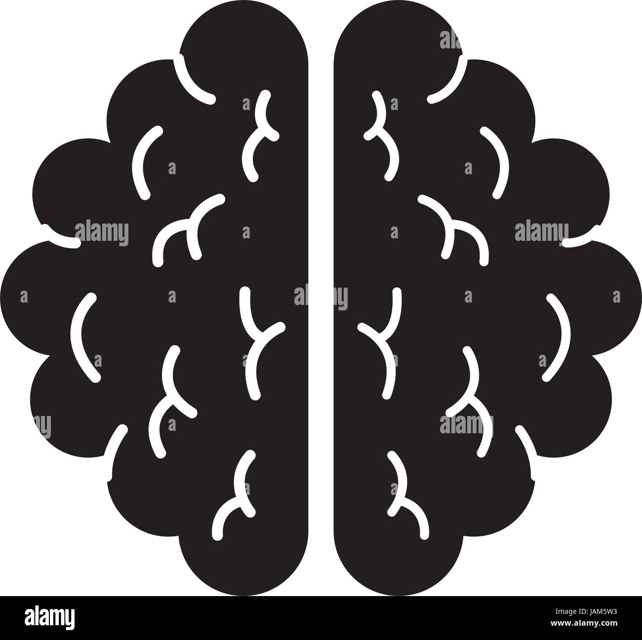 brain organ human icon Stock Vector Image & Art - Alamy