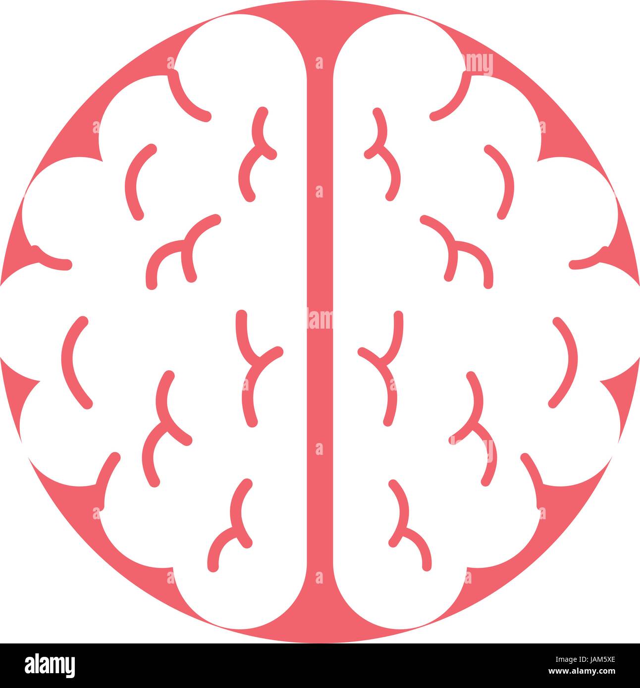 brain organ human icon Stock Vector Image & Art - Alamy